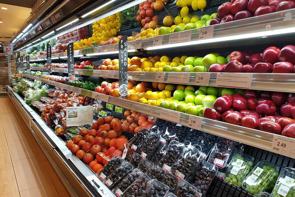 Models, Features, and Prices of Fruit and Vegetable Fridges - Setraf